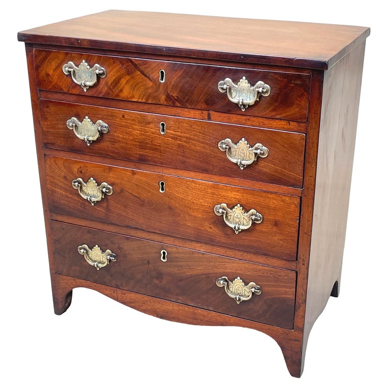 Georgian Mahogany Miniature Chest For Sale at 1stDibs