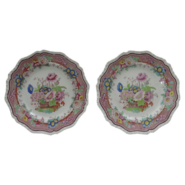 Georgian Pair Hicks and Meigh Ironstone Dinner Plates in Pattern 23 ...