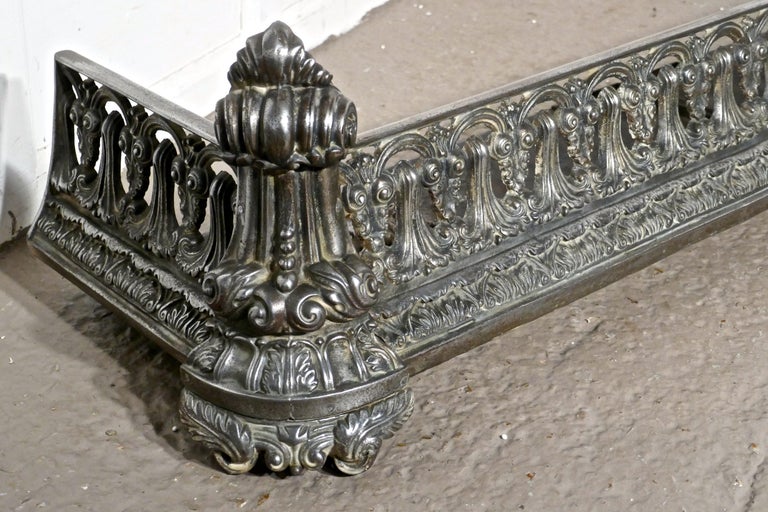 Georgian Polished Steel Fender For Sale at 1stDibs