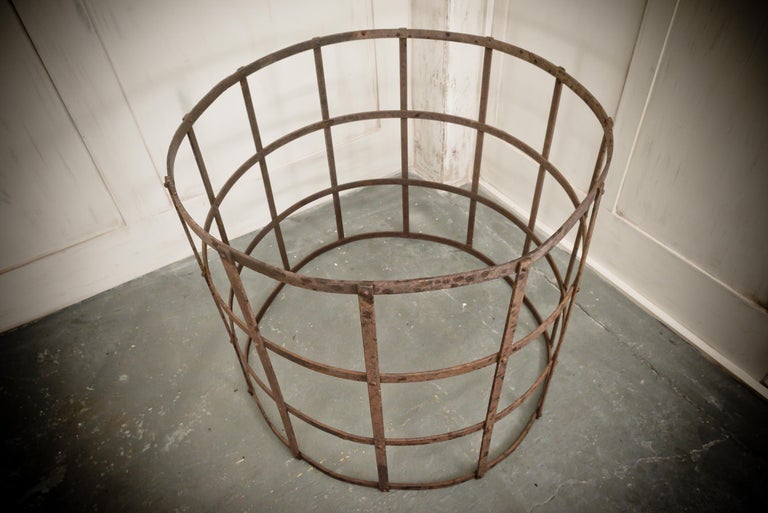Georgian Riveted Wrought Iron Tree Guard For Sale at 1stDibs