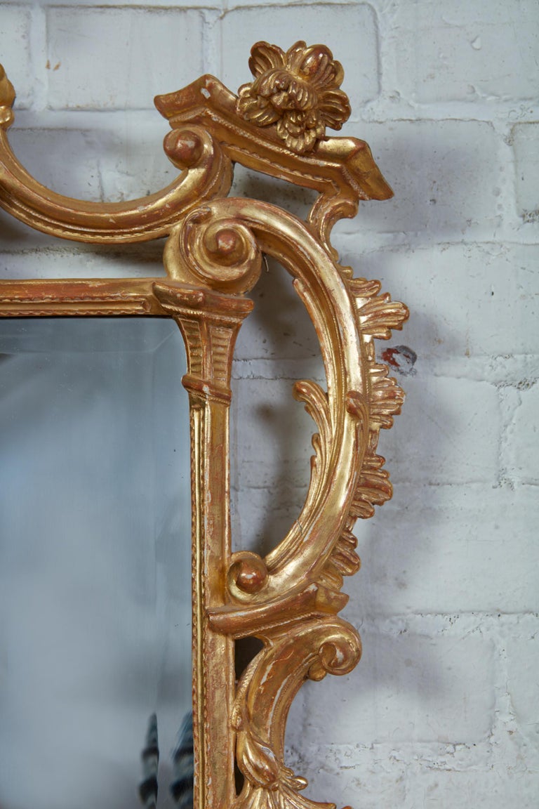 Georgian Rococo Giltwood Mirror at 1stDibs