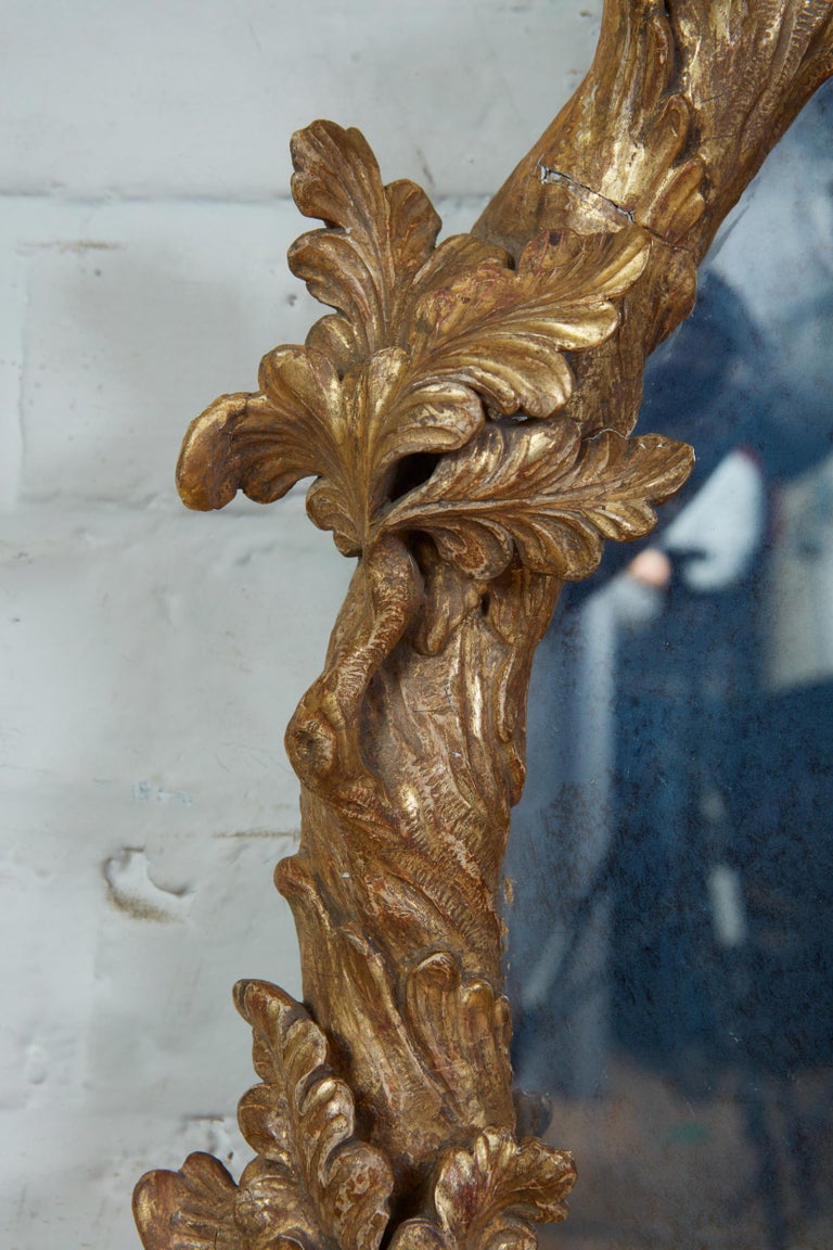 Georgian Round Giltwood Mirror For Sale at 1stDibs