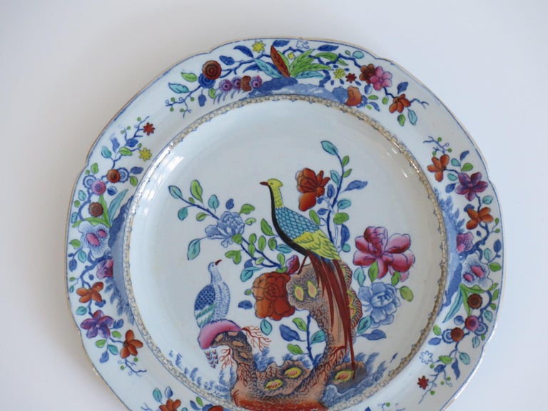 Georgian Spode Stone China Side Plate in Oriental Pheasant Pattern ...