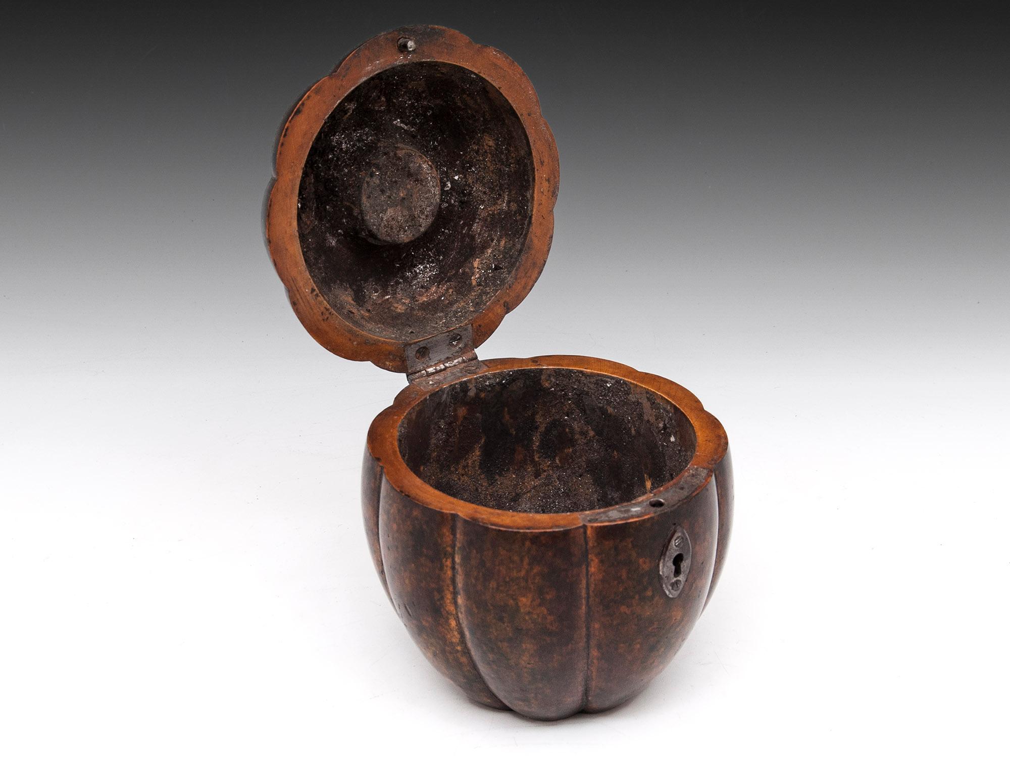 Georgian Squash Fruit Tea Caddy For Sale at 1stDibs