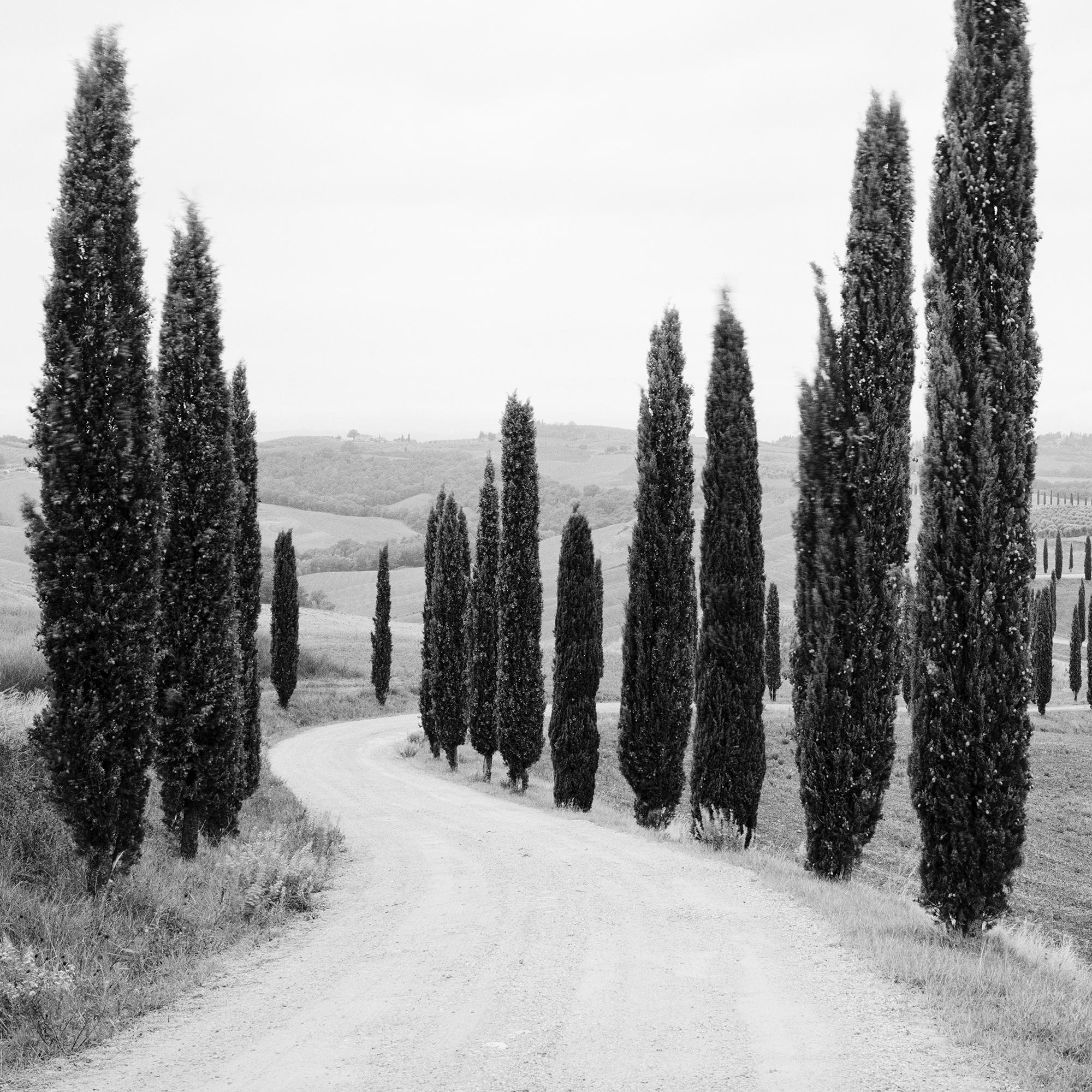 Gerald Berghammer - Cypress Path Panorama Tuscany black white fine art landscape photography For ...