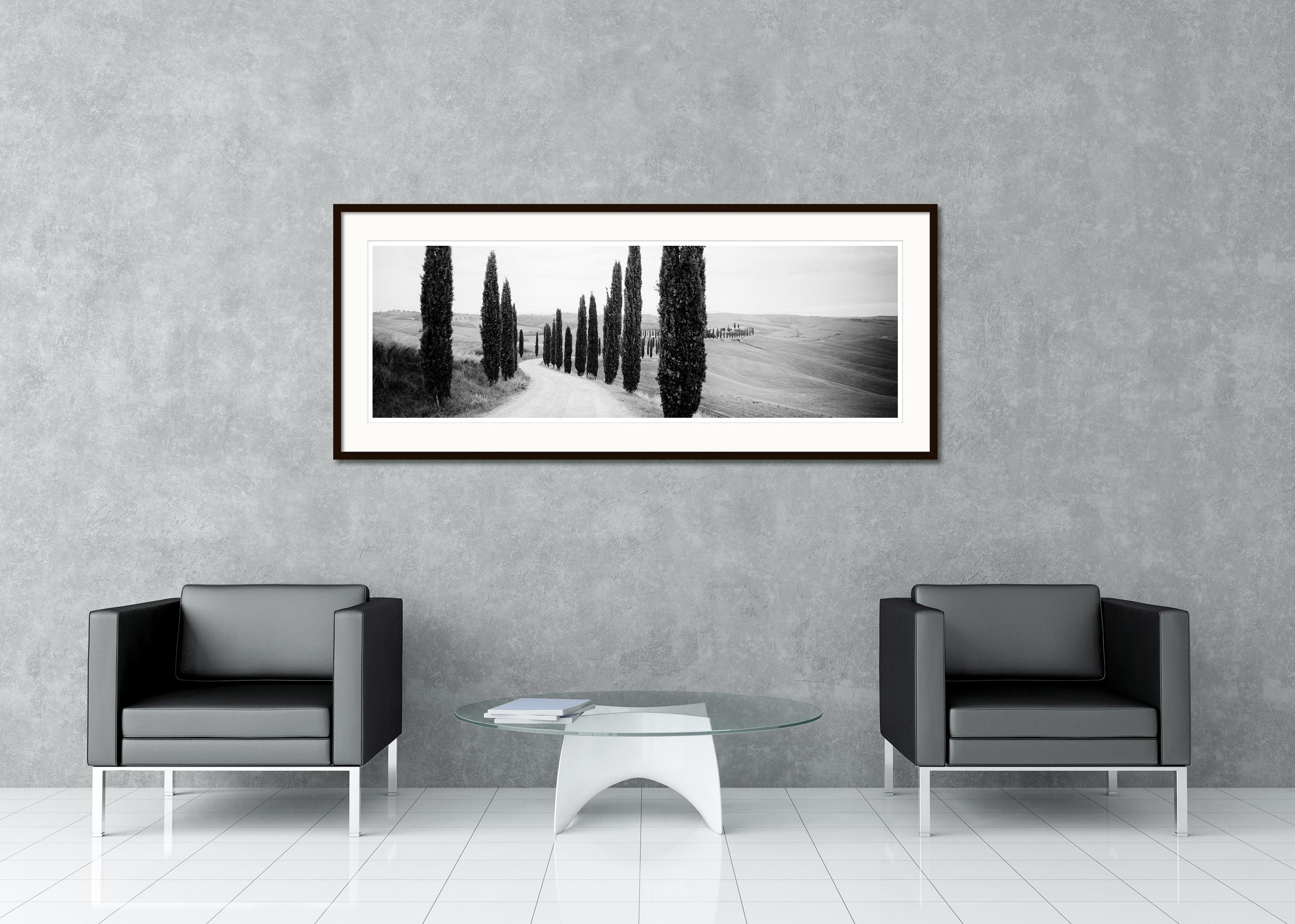 Gerald Berghammer - Cypress Path Panorama Tuscany black white fine art ...