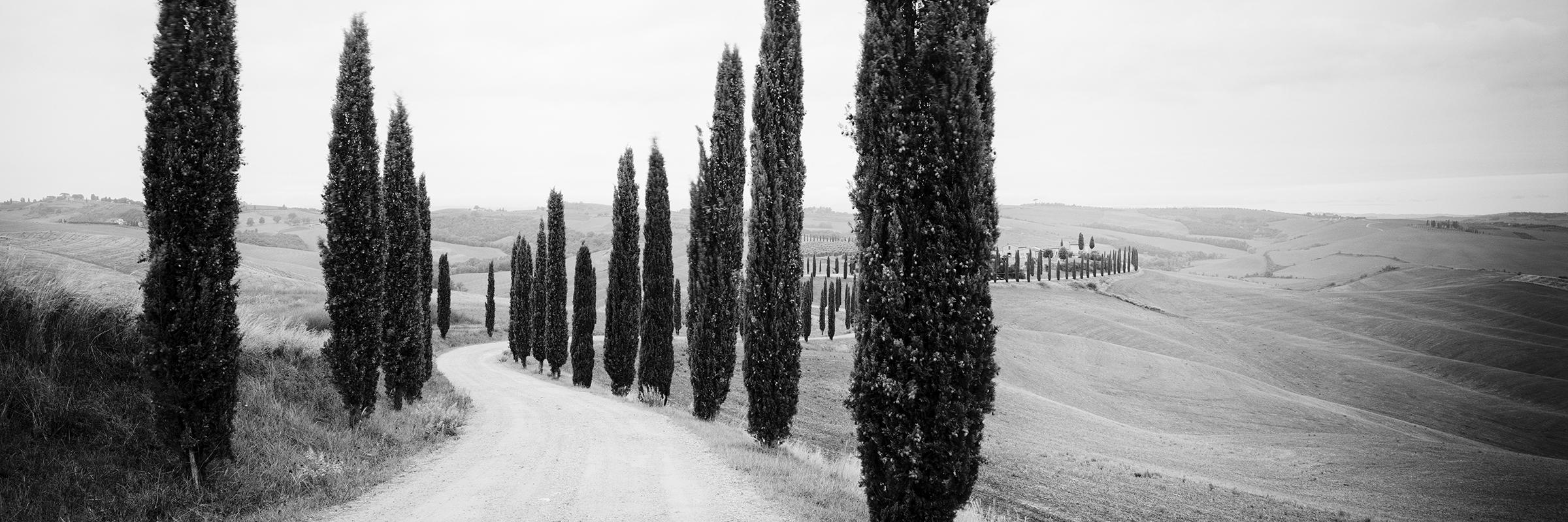 Gerald Berghammer - Cypress Path Panorama Tuscany black white fine art landscape photography For ...
