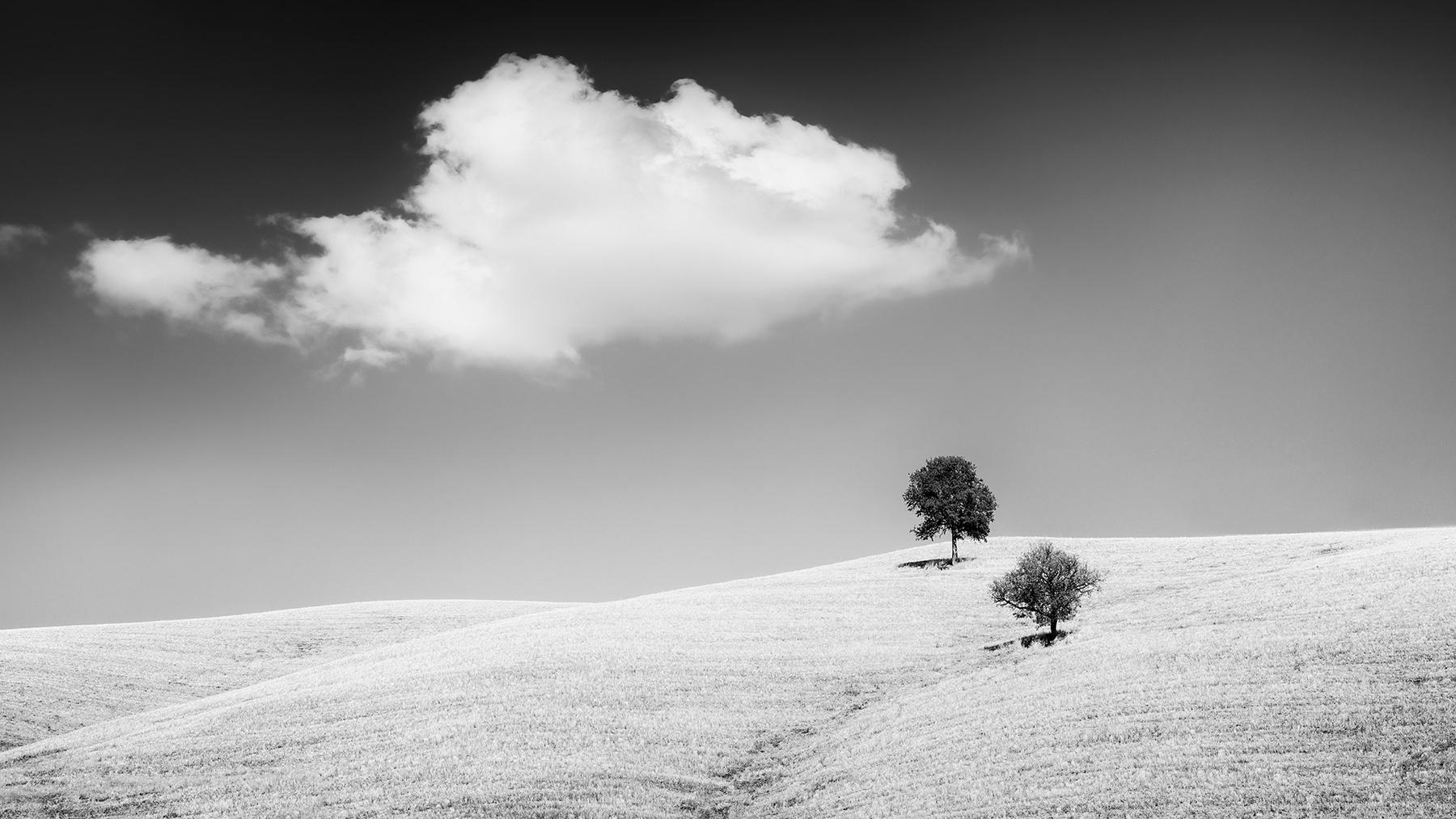 Gerald Berghammer - Colinas onduladas con árboles Toscana Fotografía ...
