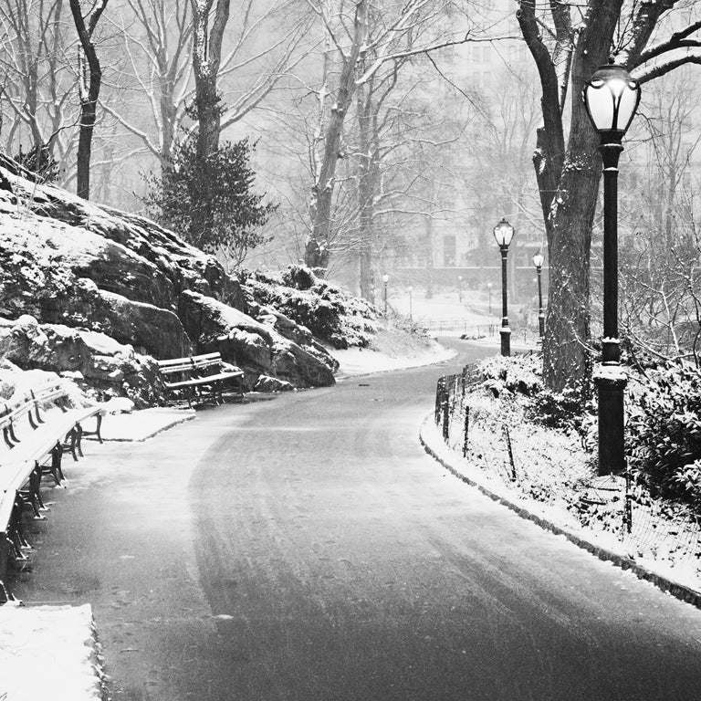 Gerald Berghammer - Snow covered Central Park, New York City, black and ...