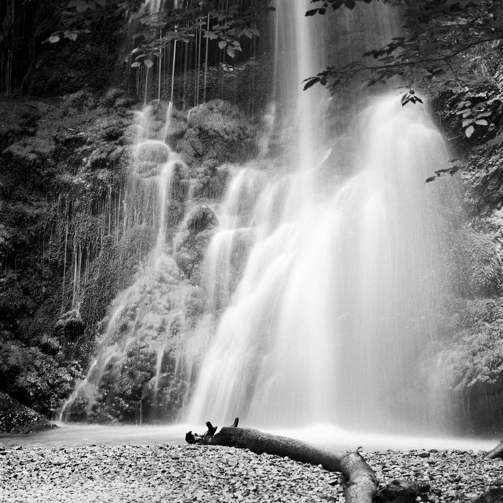 Gerald Berghammer - Waterfall, Bavaria, Germany, fine art black and ...