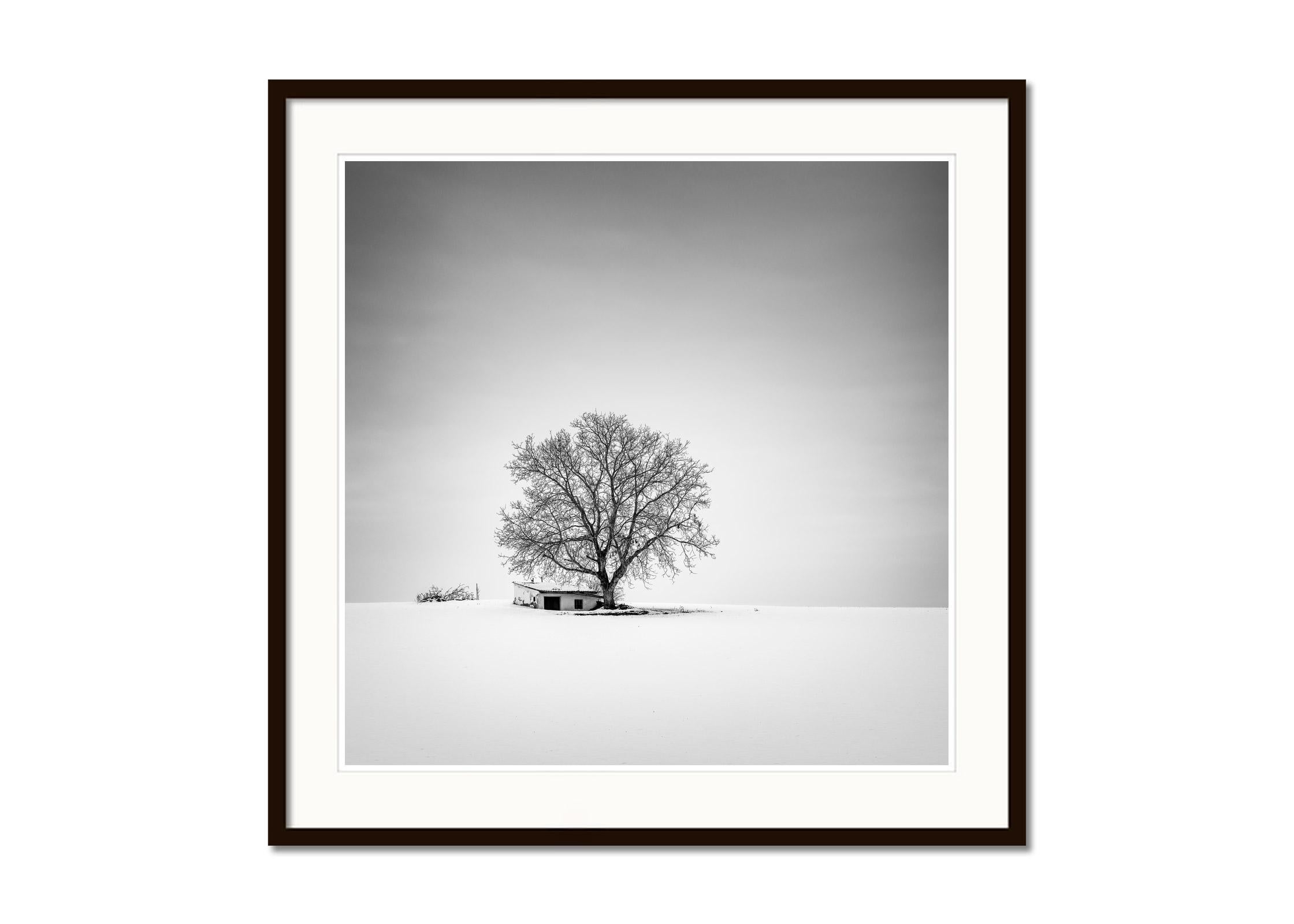 Gerald Berghammer - Wine Press House in snow winter black and white ...