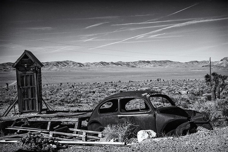 Gerard Giliberti - Outhouse Bug For Sale at 1stDibs