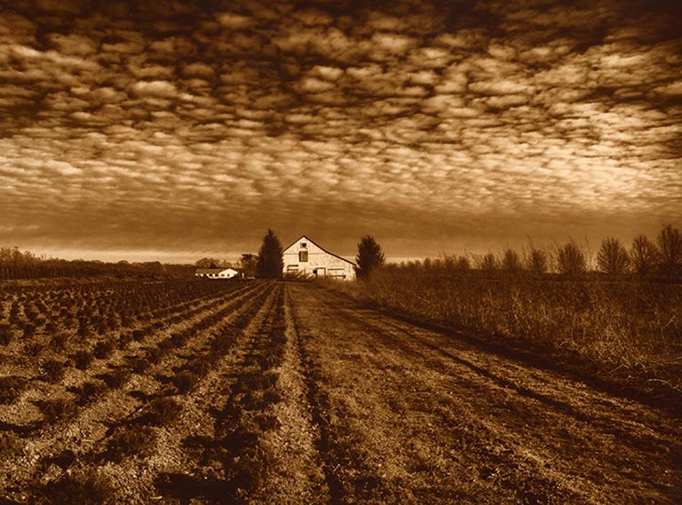 Gerard Giliberti - The Flag House For Sale at 1stDibs