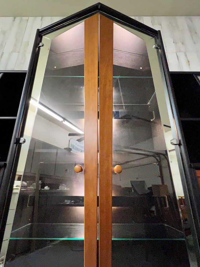 German Modernist Wall Unit by Schieder Mobel For Sale at 1stDibs