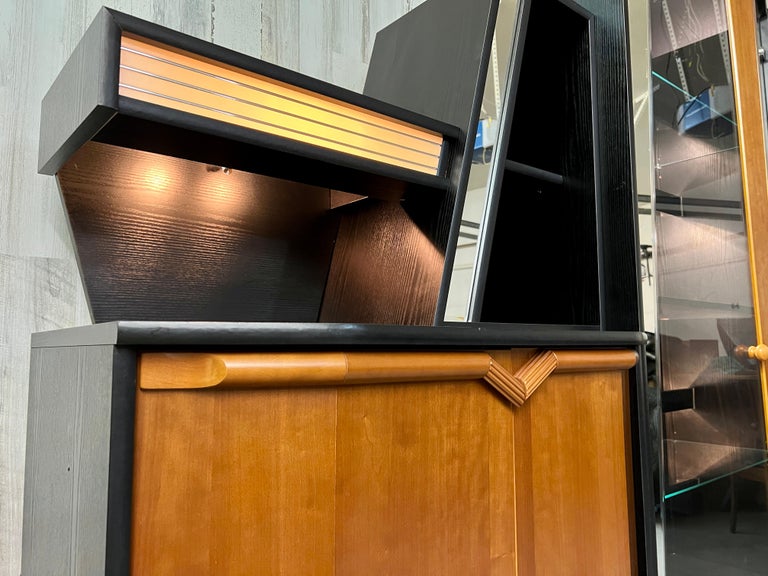 German Modernist Wall Unit by Schieder Mobel For Sale at 1stDibs