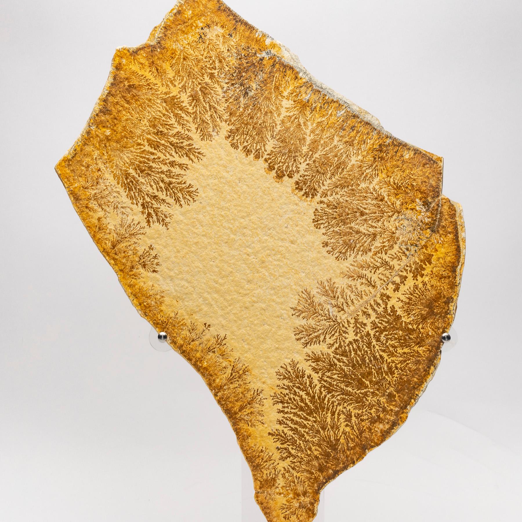 German Natural Dendrite Crystals Mounted in a Custom Acrylic Base For ...