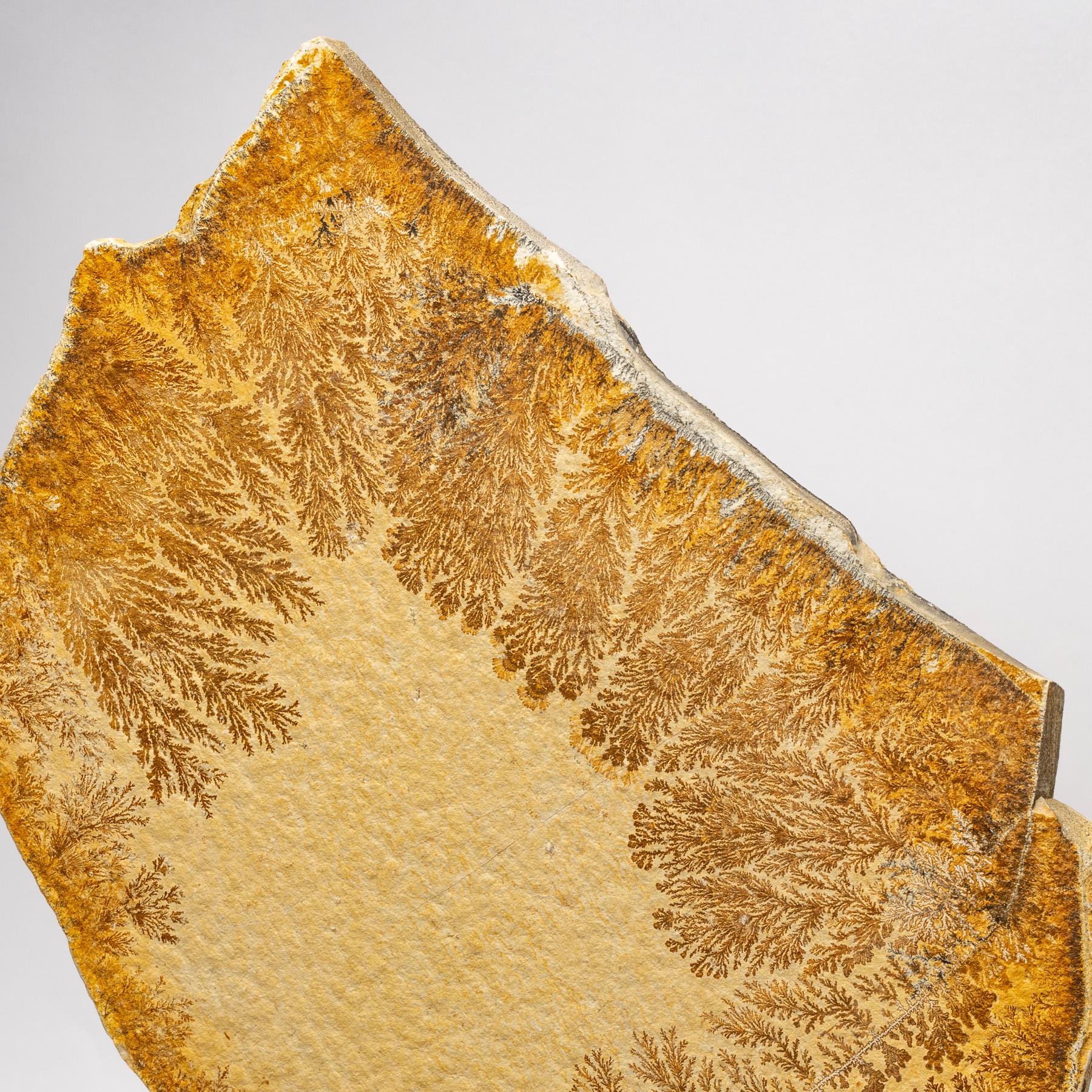 German Natural Dendrite Crystals Mounted in a Custom Acrylic Base For ...