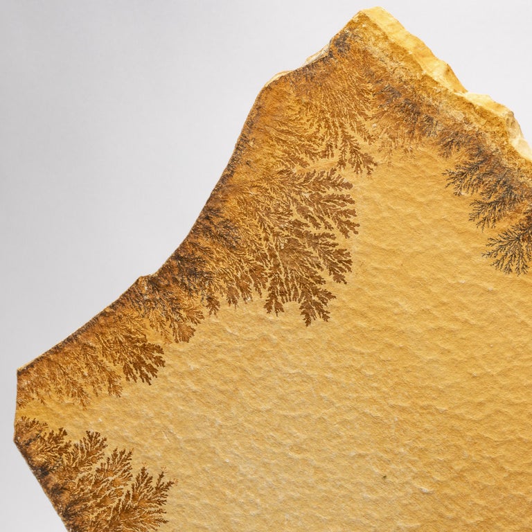 German Natural Dendrite Crystals Mounted in a Custom Acrylic Base For ...