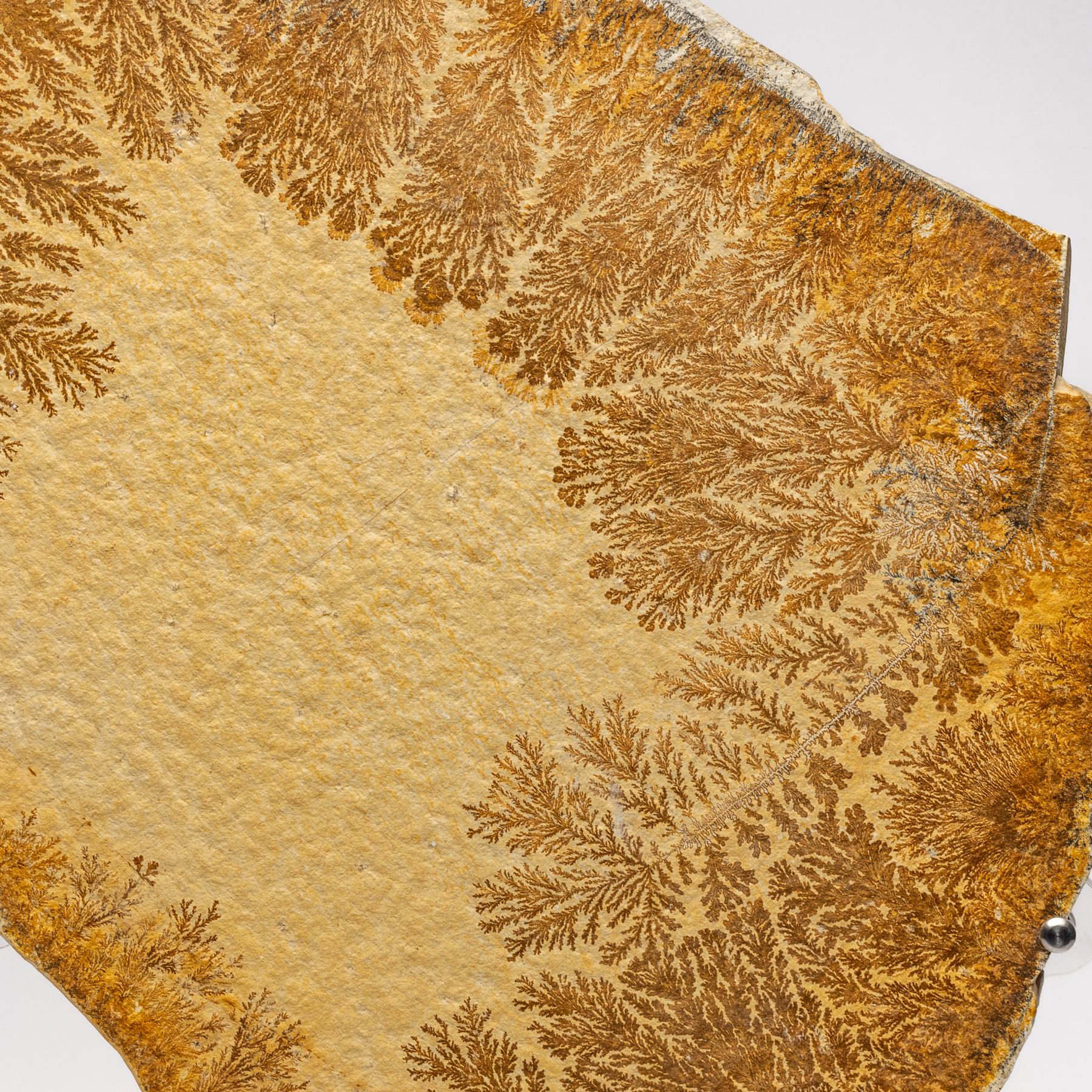 German Natural Dendrite Crystals Mounted in a Custom Acrylic Base For ...