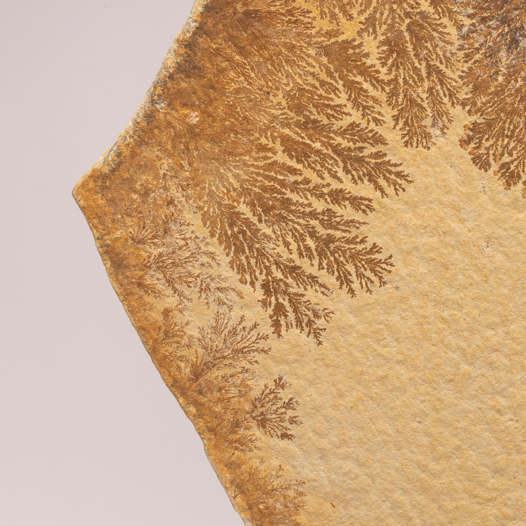 German Natural Dendrite Crystals Mounted in a Custom Acrylic Base For ...