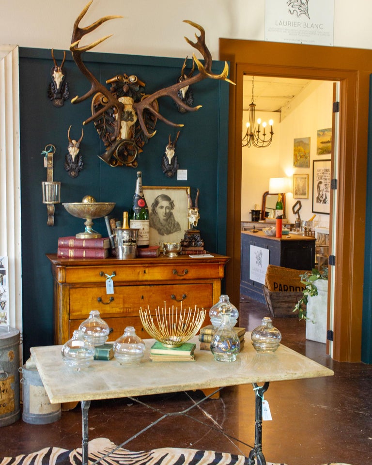 German Red Stag from Eulenburg Hunt of 1892 with Original Fürst-Pless ...