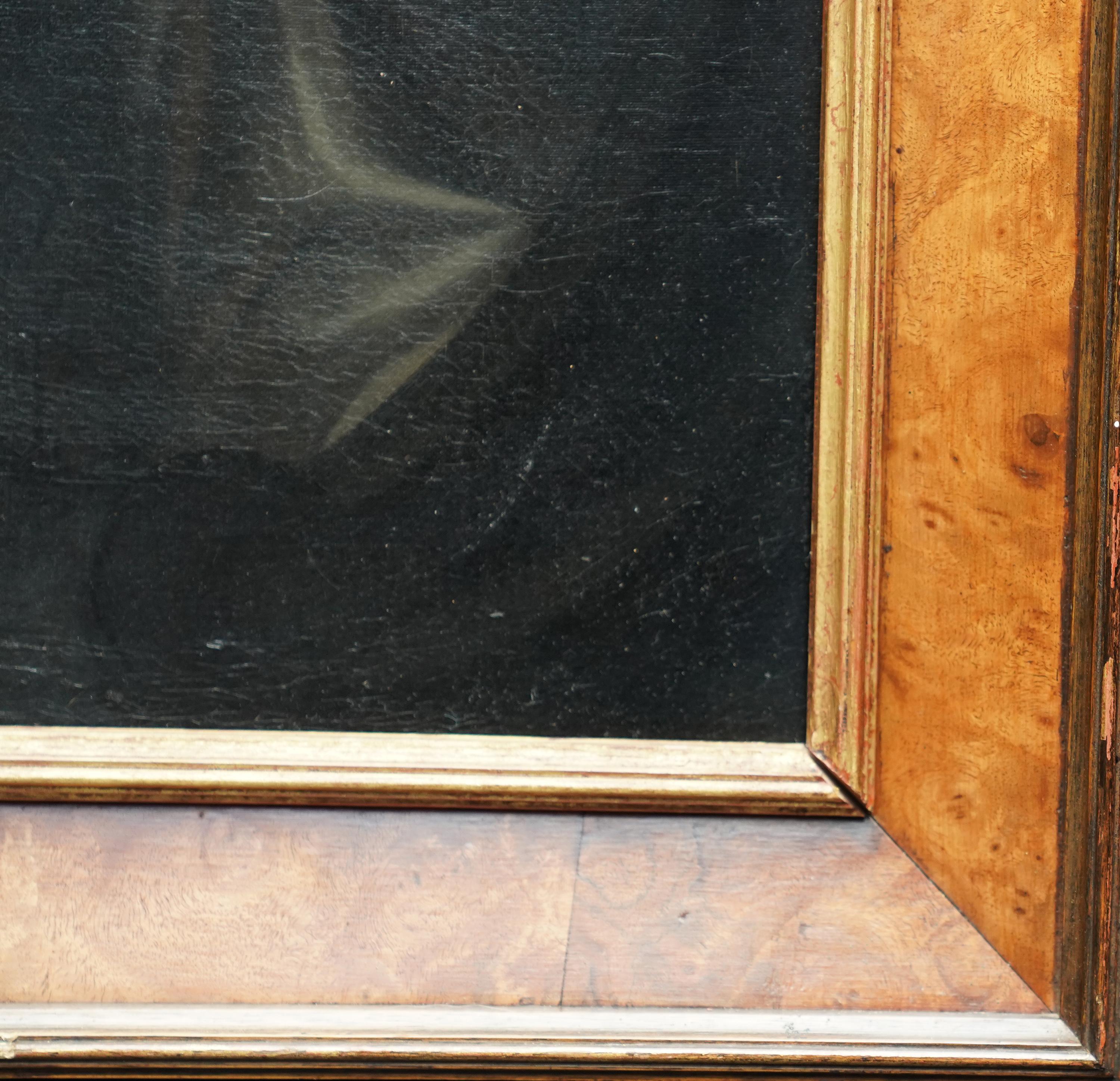 Portrait of a Young Gentleman - Dutch Old Master 17thC art portrait oil ...