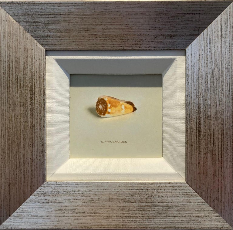 Gerrit Wijngaarden - Schelpje Small Shell Still Life Oil Painting on ...
