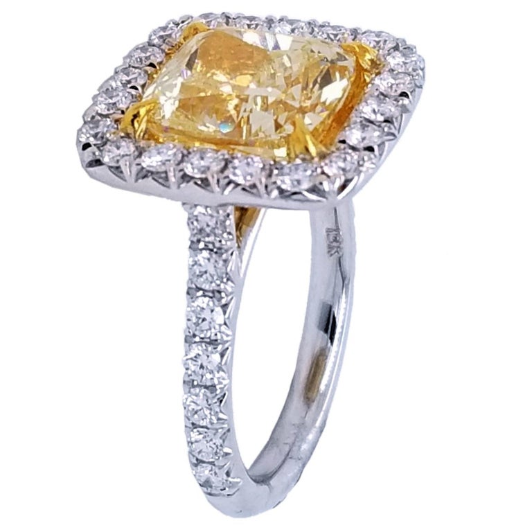 GIA 5.03 Ct Yellow Cushion Diamond French Pave Set 18K Engagement Ring ...