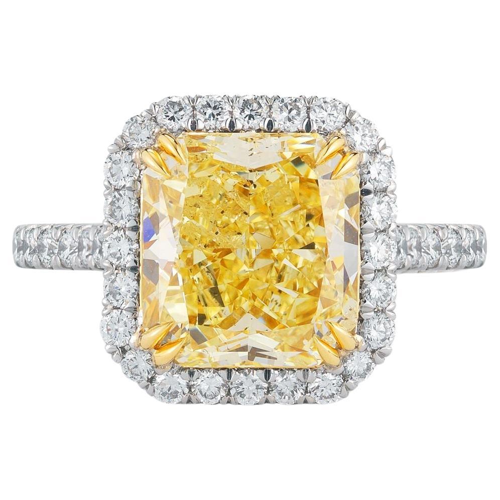 GIA Certified Fancy Intense Yellow 4 Diamond Halo Pave Ring For Sale at ...