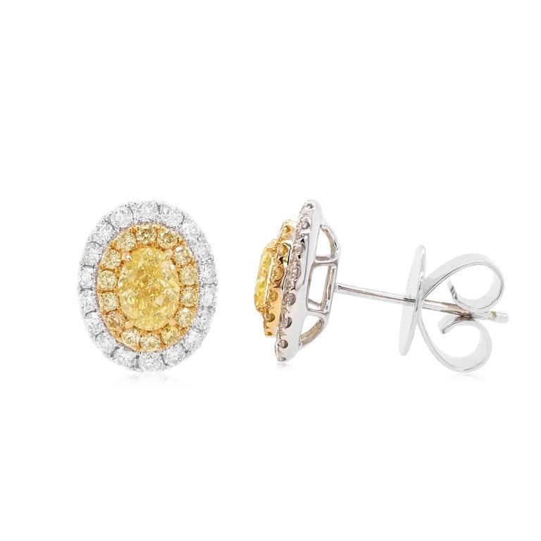GIA Certified Yellow Diamond 18K Gold Stud Earrings For Sale at 1stDibs