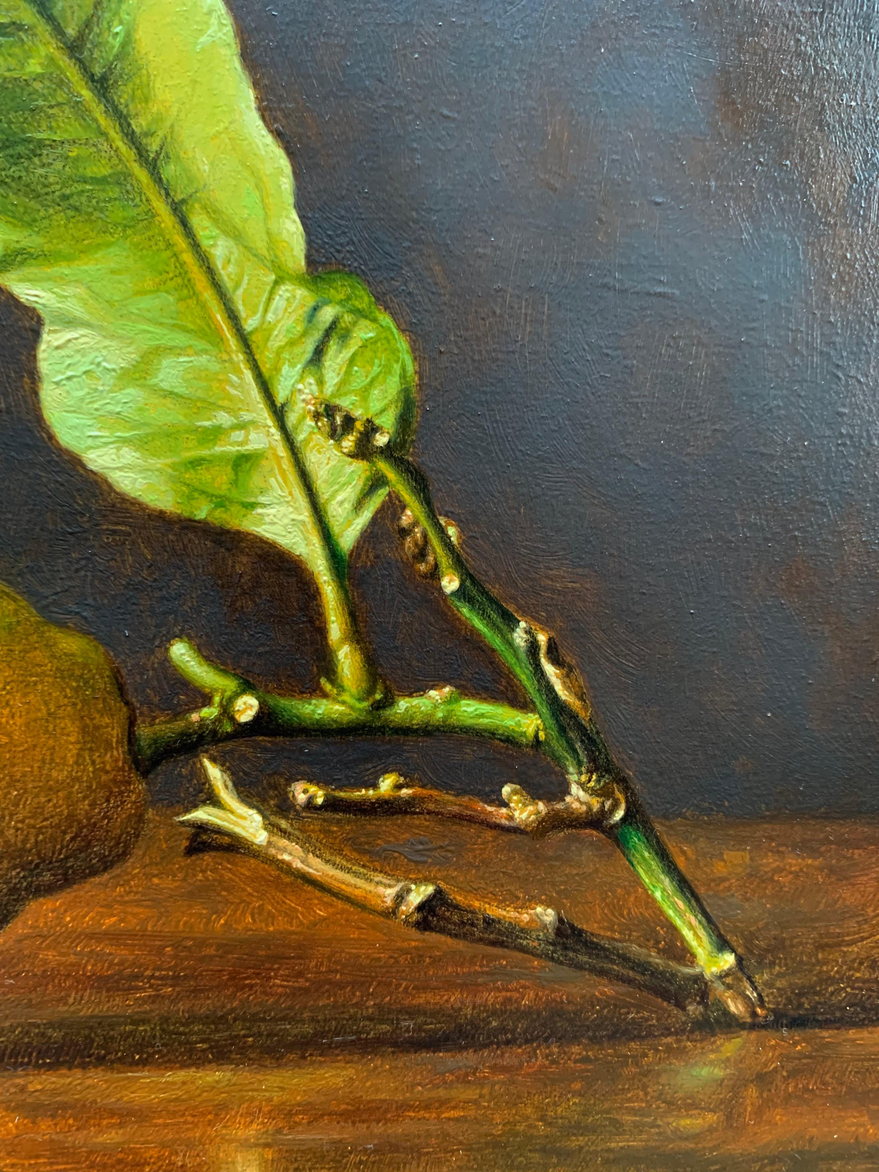 Gianluca Corona - Mediterranean still life of fruit in yellow and black ...