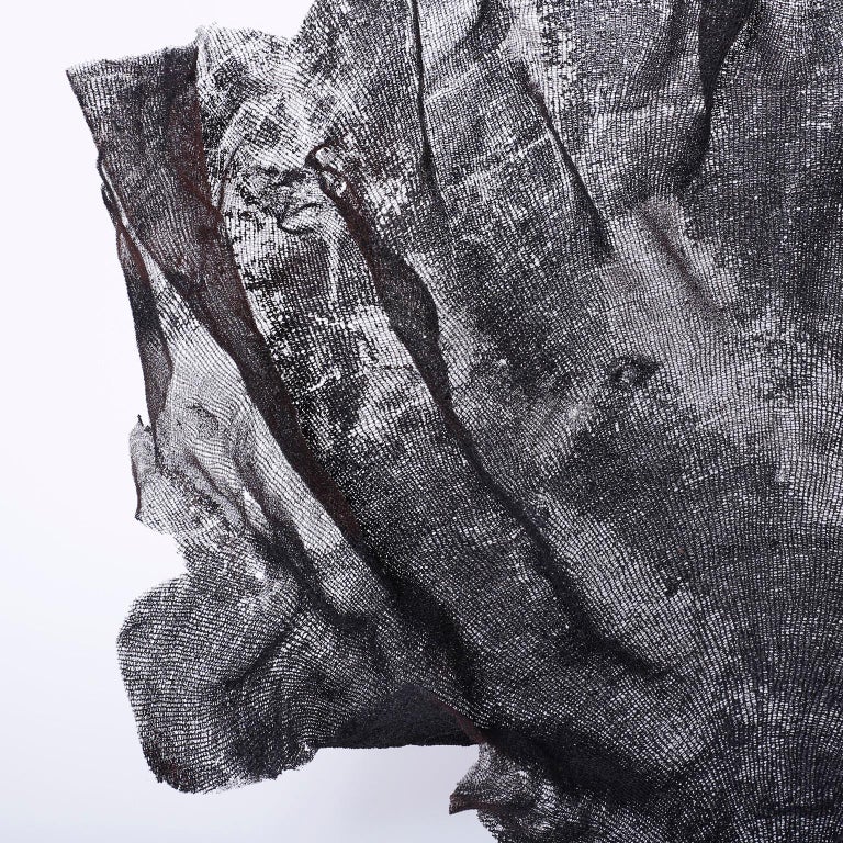 Giant Black Sea Sponge on Lucite at 1stDibs