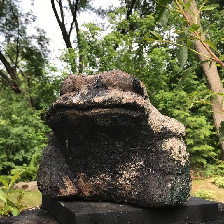 Giant Burly Japanese Antique Stone Frog Found In Vermont Tree, 17" Long ...