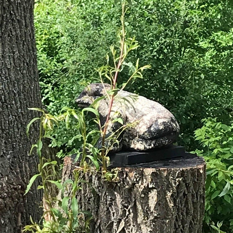 Giant Burly Japanese Antique Stone Frog Found In Vermont Tree, 17" Long ...