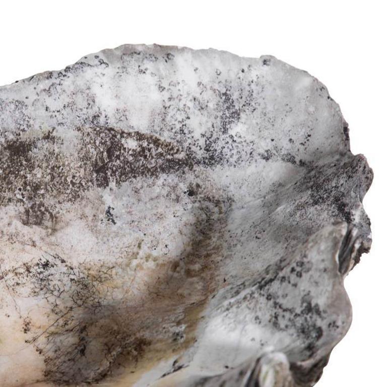 Giant Clam Shell Basin Natural Specimen with Wonderful Patina and ...