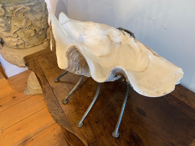 Giant Clam Shell Champagne Cooler and Holder at 1stDibs | clam shell cooler