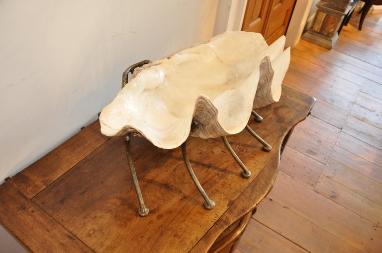 Giant Clam Shell Champagne Cooler and Holder at 1stDibs | clam shell cooler