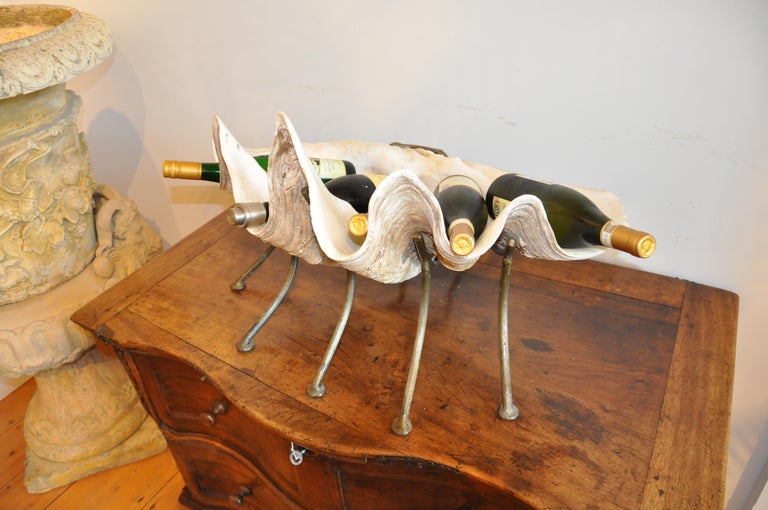 Giant Clam Shell Champagne Cooler and Holder at 1stDibs | clam shell cooler