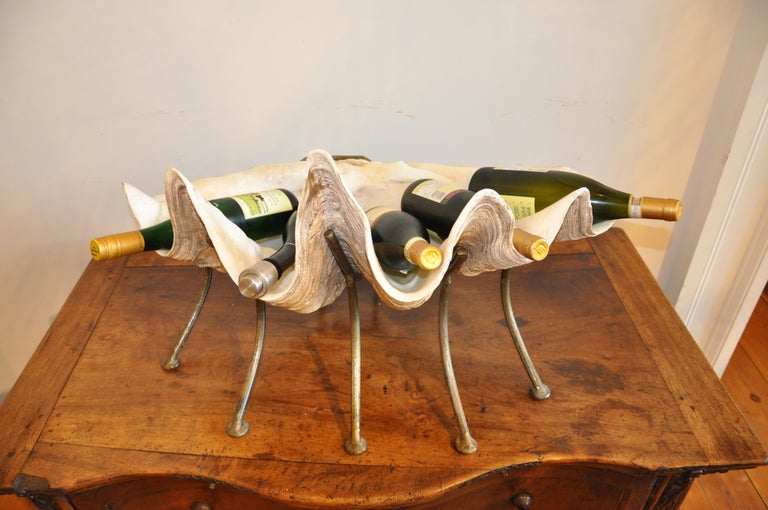 Giant Clam Shell Champagne Cooler and Holder at 1stDibs | clam shell cooler
