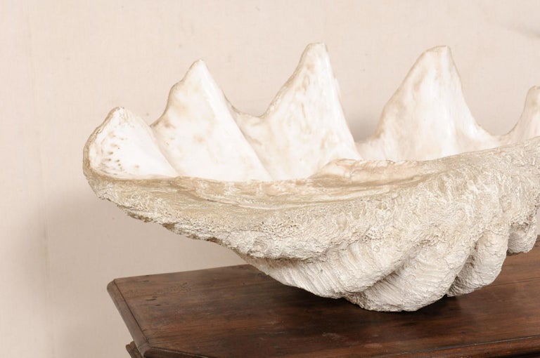Giant Clam Shell (Faux) Fabulously Artisan Crafted-Looks like the Real ...