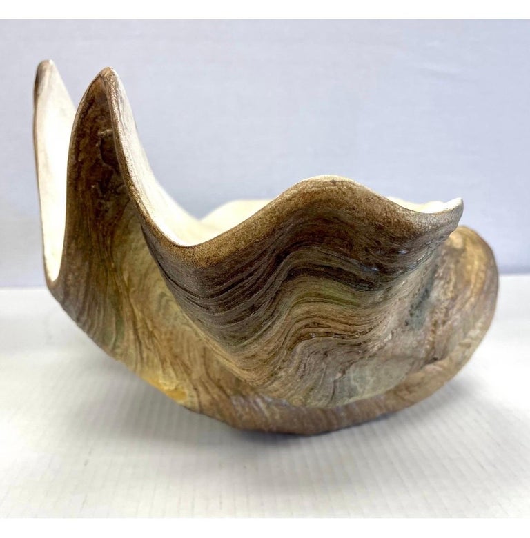 Giant Clamshell Centerpiece Bowl Sculpture Clam Shell Statement Piece ...