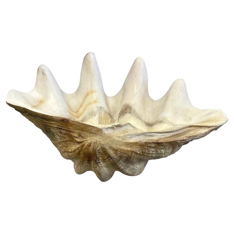 Giant Clamshell Centerpiece Bowl Sculpture Clam Shell Statement Piece ...