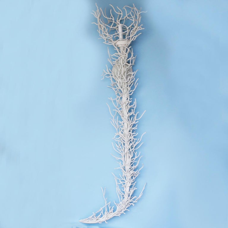 Giant Pair of Faux Coral Wall Sconces at 1stDibs
