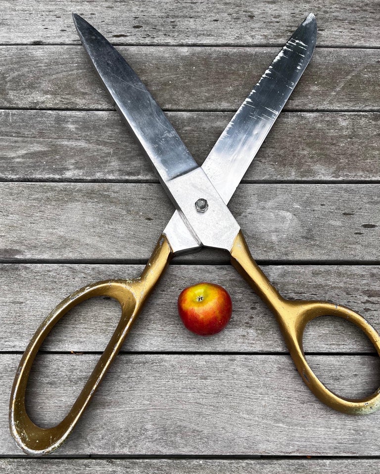 “Giant” Scissors, Advertising Store Display For Sale at 1stDibs