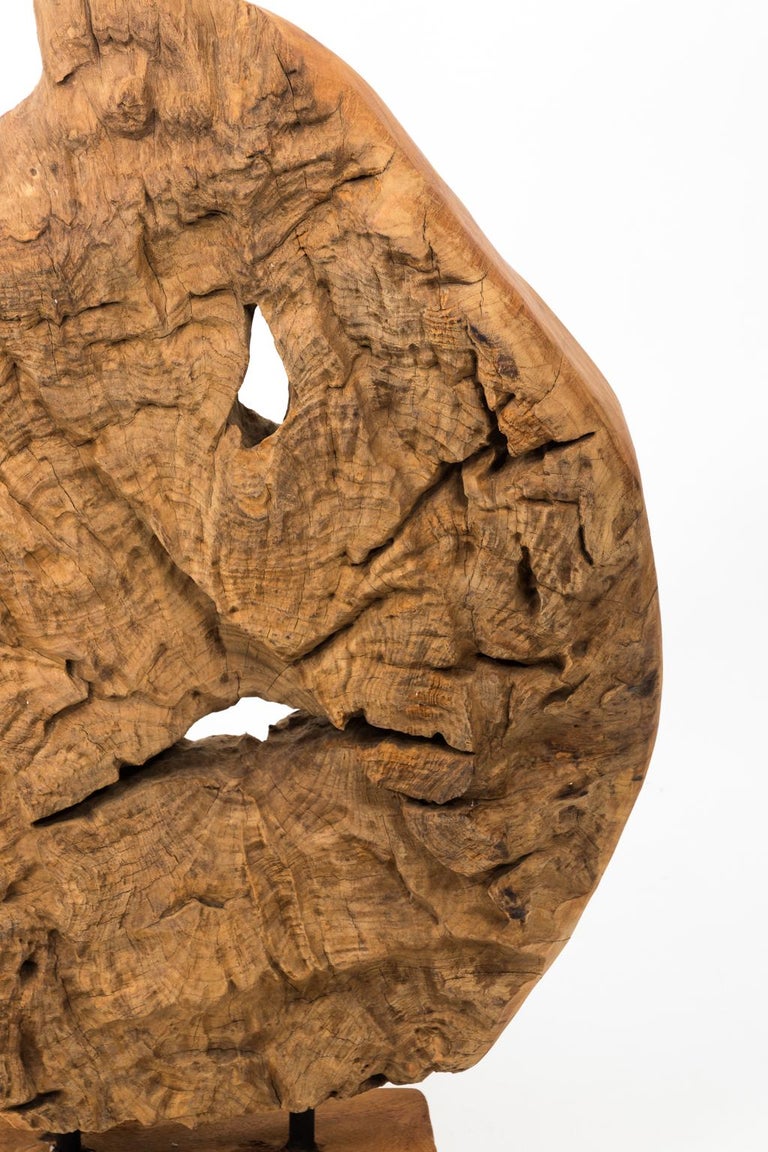 Giant Teak Burl Sculpture on Stand at 1stDibs