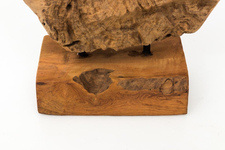 Giant Teak Burl Sculpture on Stand at 1stDibs