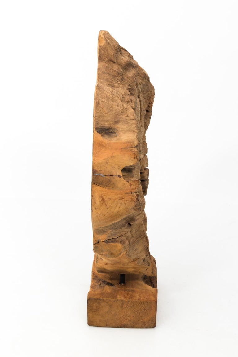 Giant Teak Burl Sculpture on Stand at 1stDibs
