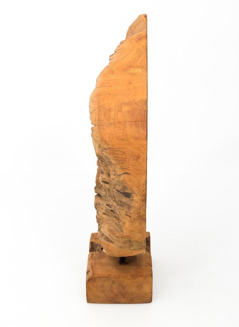 Giant Teak Burl Sculpture on Stand at 1stDibs