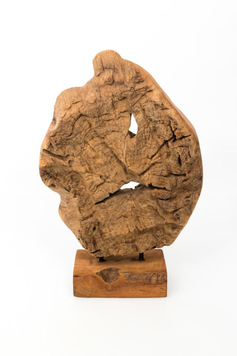 Giant Teak Burl Sculpture on Stand at 1stDibs