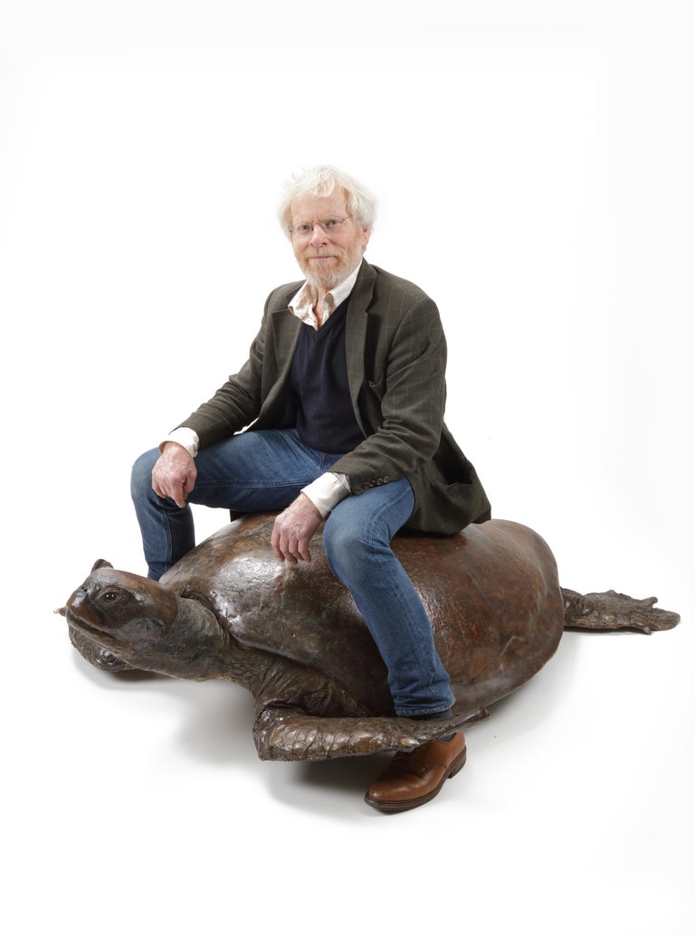 Giant Victorian Taxidermy Loggerhead Sea Turtle For Sale at 1stDibs